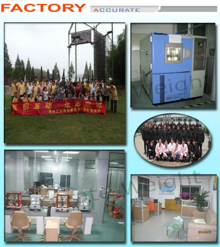 Stainless Steel 304 Serious Mass, Load Test Weights, 2kg