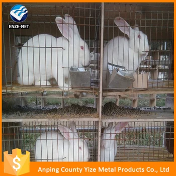 Best Selling Galvanized Rabbit Farming Equipment For Commercial Rabbits ...