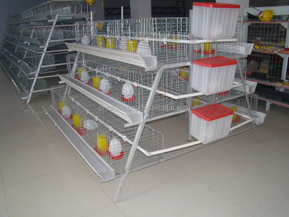 Jinmuren Poultry Farm Baby Chick Cages Project And Layer Chicken Cages ...