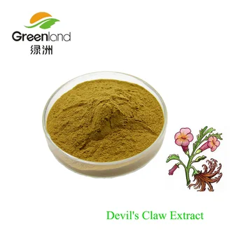 Harpagophytum Procumbens Extract 3% 5% Harpagoside Devils Claw Extract ...