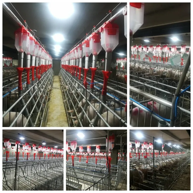 Auto Feeding System for Pigs New Plastic Livestock Automatic Feeder for ...