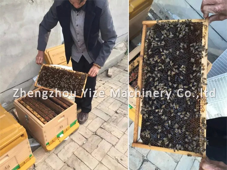 Plastic Beehive - Durable Frames for Efficient Beekeeping