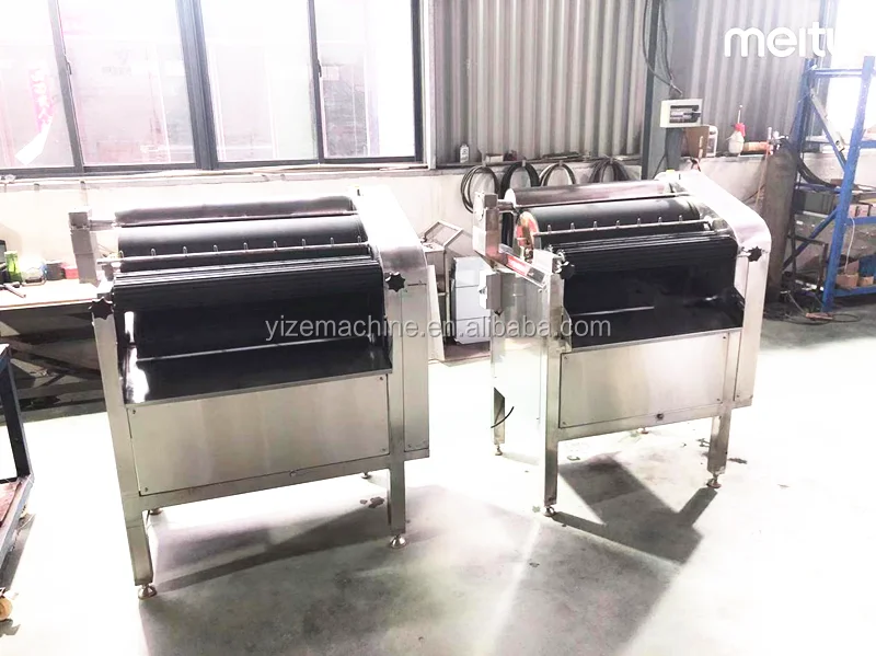 Stainless Steel Animal Intestine Casing Washing Machine