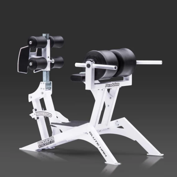 Commercial Gym Equipment Rogers Athletic Glute-ham Development - Buy ...