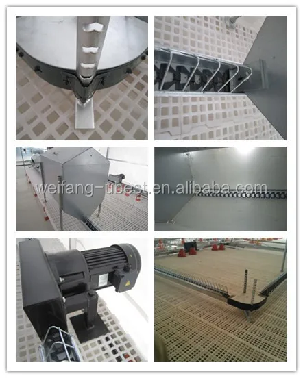Poultry Automatic Feeder Chain Feeding System for Broilers