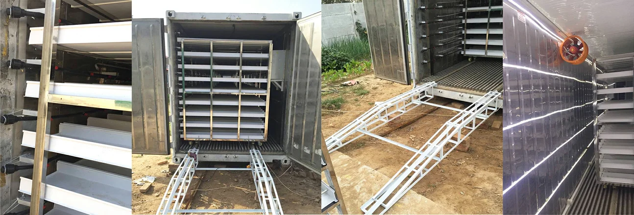 1000kg Fodder Container System - Hydroponic Barley Machine