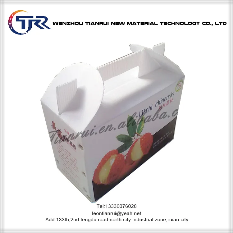 Customized PP Sweet Corn Box - Durable & Recycled Materials