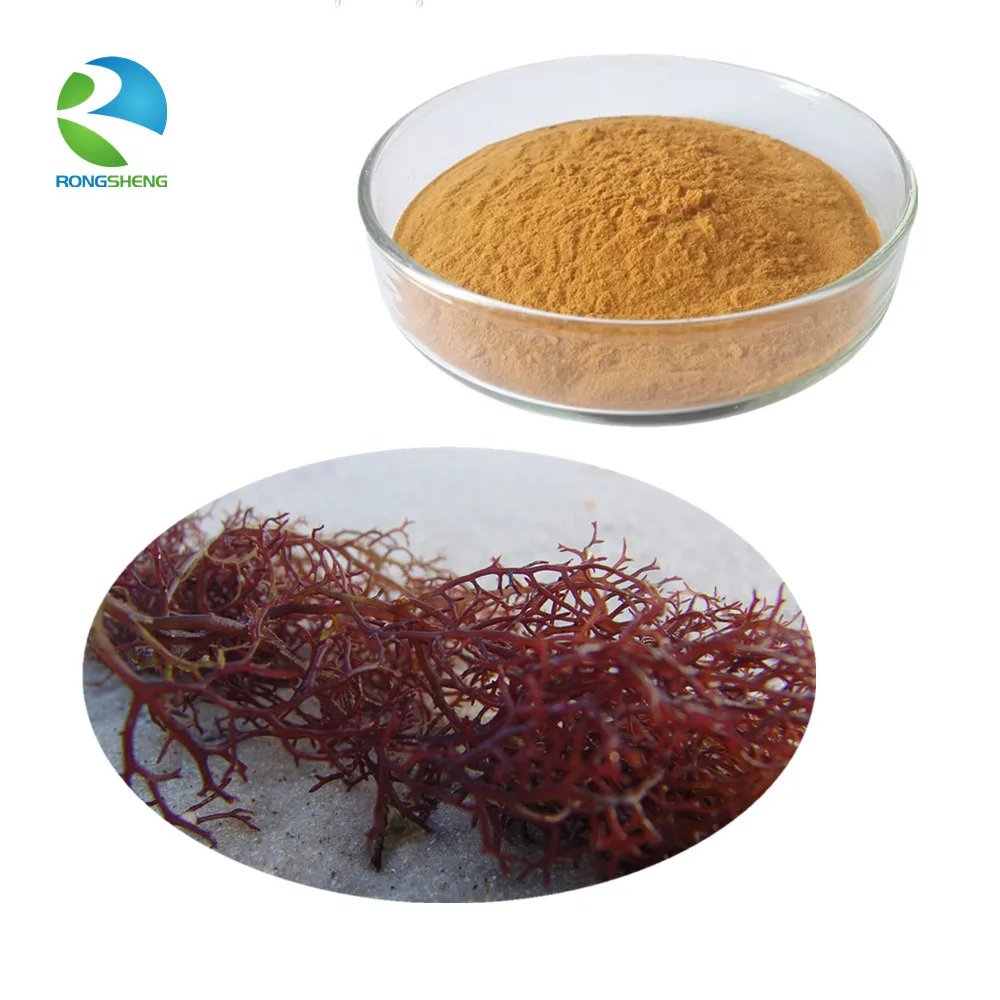 Best Quality Marine Red Algae Extract With Good Price - Buy Algae ...