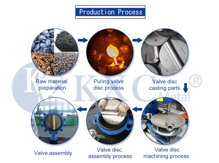 Stainless Steel 316 Investment Casting Butterfly Valve Disc