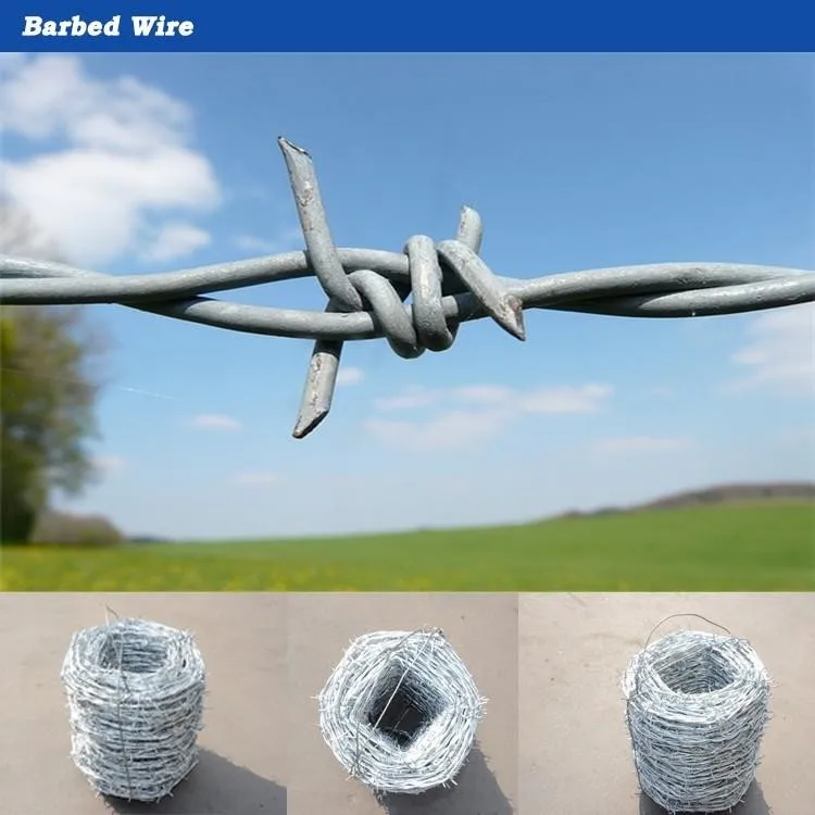 Hot Dip Galvanized Low Price Barbed Wire Philippines In Prision 400m ...