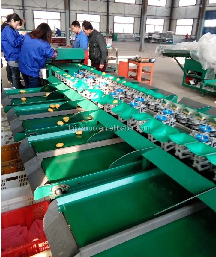 Online Sorting Machine | Vegetable Weight Sorting Machine For Tomato ...