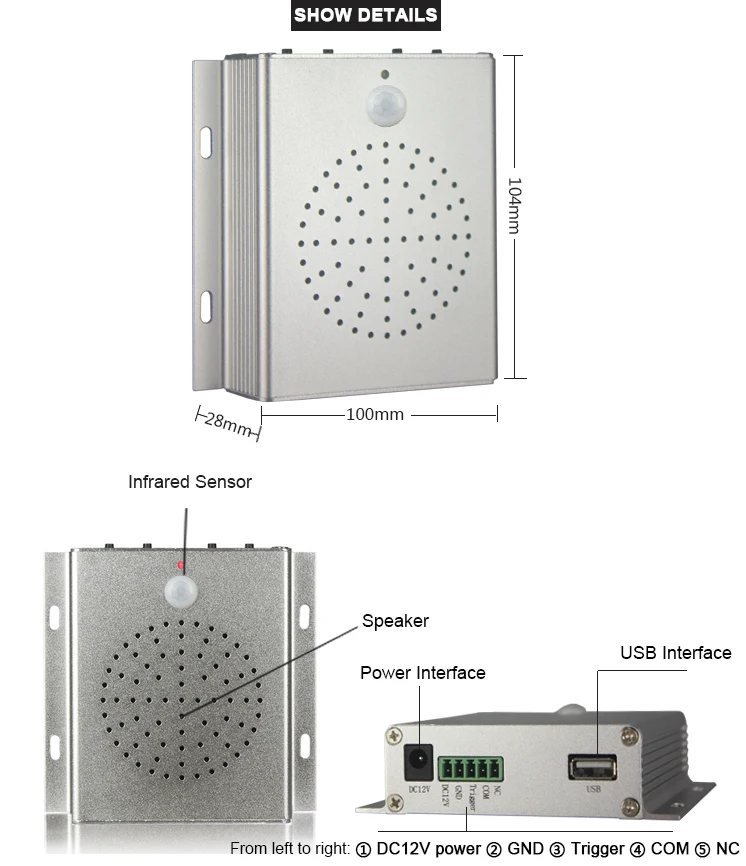Pir Infrared Human Motion Sensor Detector With Sound Recordable For ...