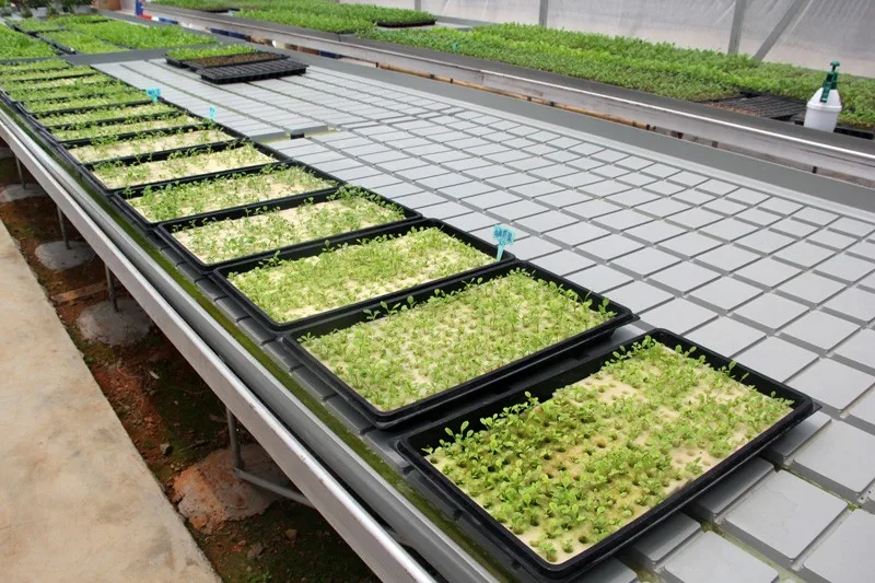 NFT Trays Hydroponic Growing Seedling Trays For Greenhouse Planting ...