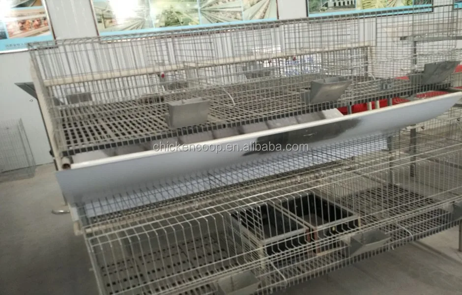Professional Manufacturer Poultry Farming Equipment Breeding Commercial ...