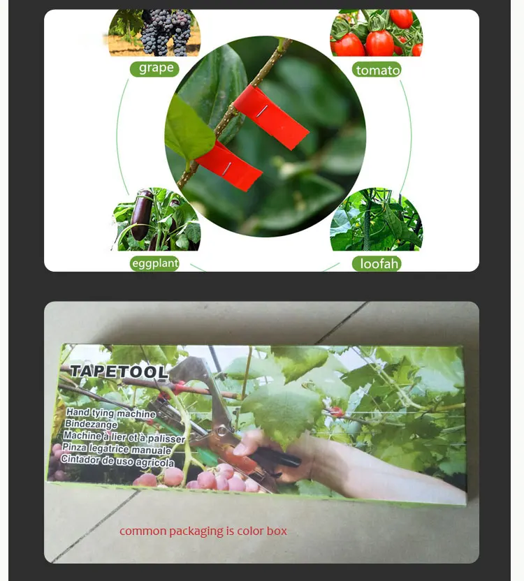 Bind Branch New Design Vegetable Fruit Hand Tying Machine Tape Binder ...