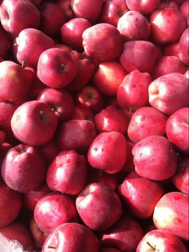 China Fuji Apples/honey Fuji Apple/south Africa Fuji Apple - Buy China ...