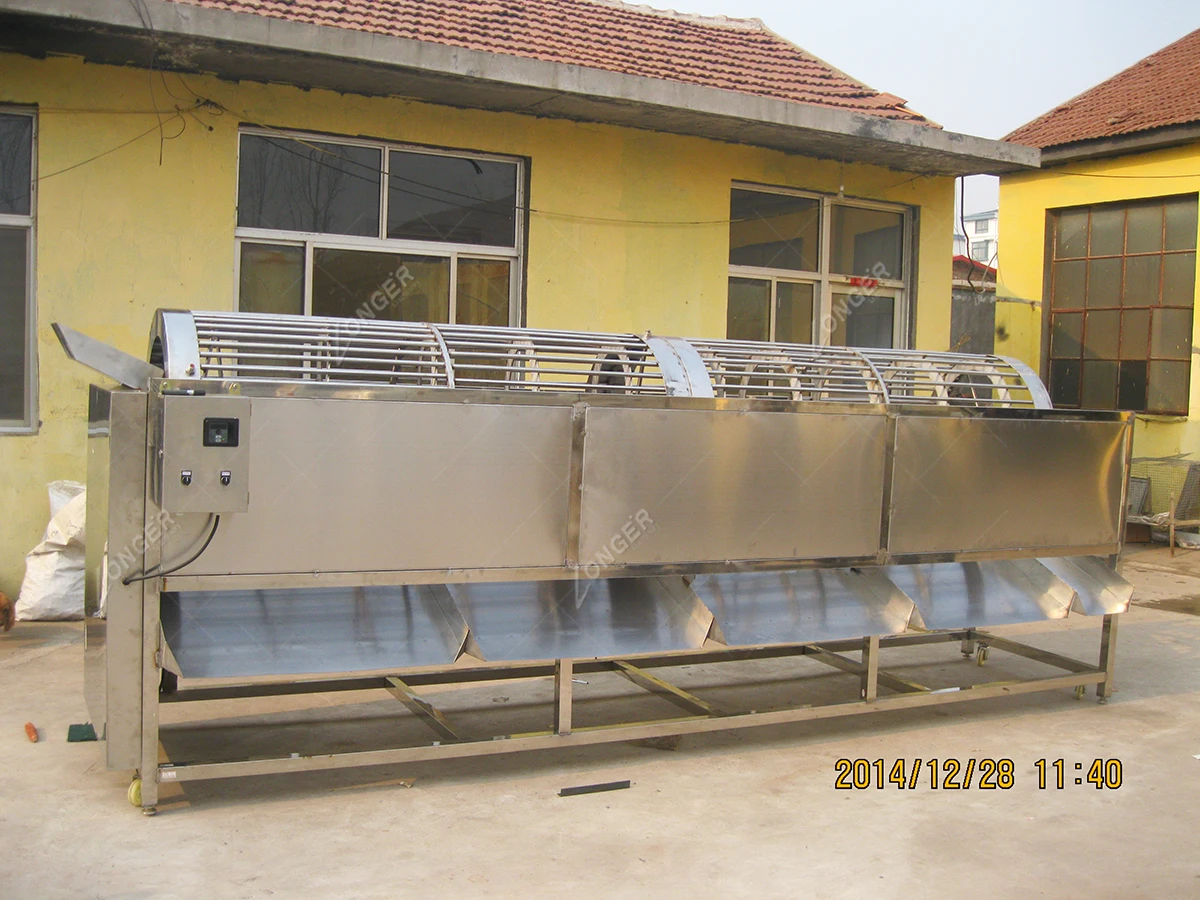 Kiwi Grading Citrus Fruit Lemon Sorting Machine - 2.2kw