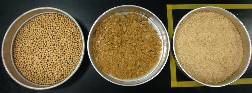 Soybean Fertilizer with Organic Protein Nitrogen - XINGYUAN