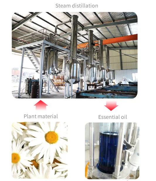 High Oil Yield Eucalyptus Leaves Oil Extraction Machine Lemongrass