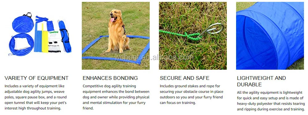 Obstacle Backyard Competitive Dog Agility Training Course Kit Blue ...