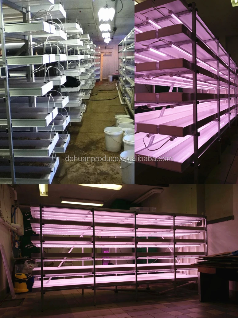 Automated Fodder System - Efficient Farm Hydroponics