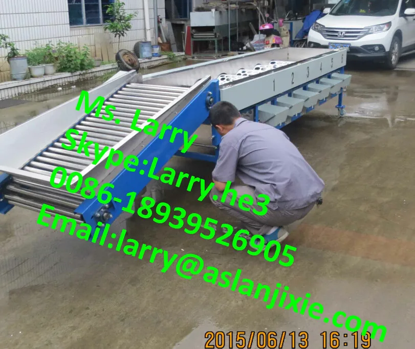 Nut Size Sorting Machine/walnut Size Grader/walnut Size Sorter - Buy Walnut Size Sorter,Walnut ...