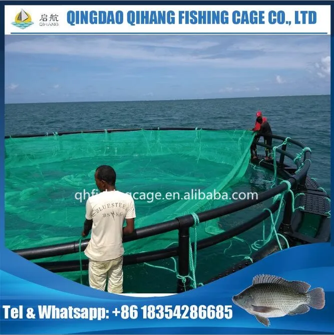 Aquaculture Cage Nets for Sea Fish Farming - Durable & Efficient