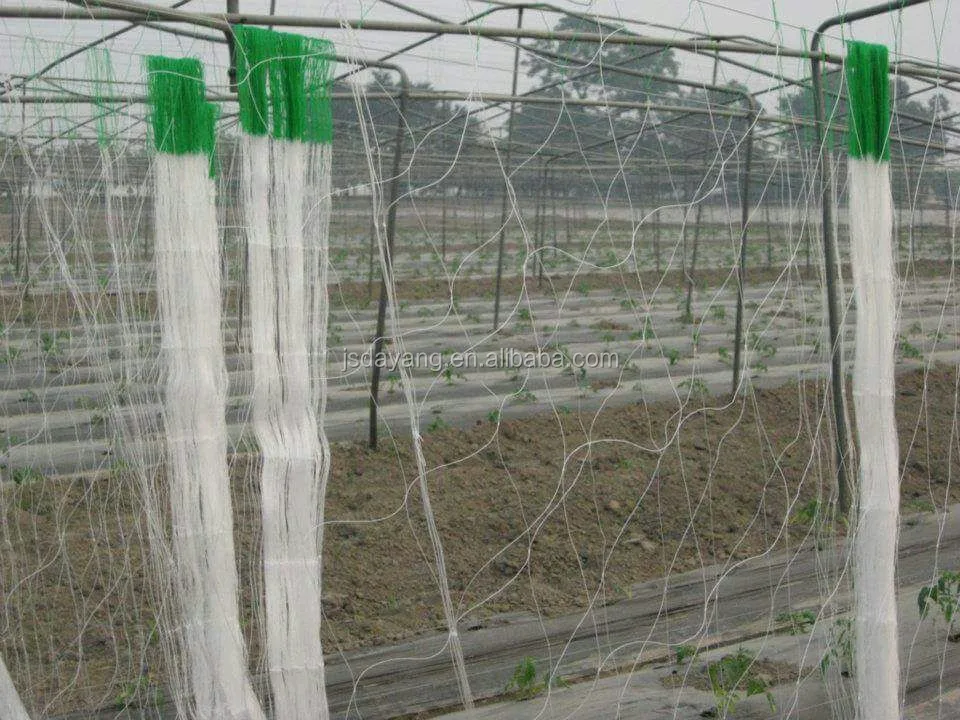 Plastic Utility Netting Protecting Crops From Birds - Buy Plastic Crop ...