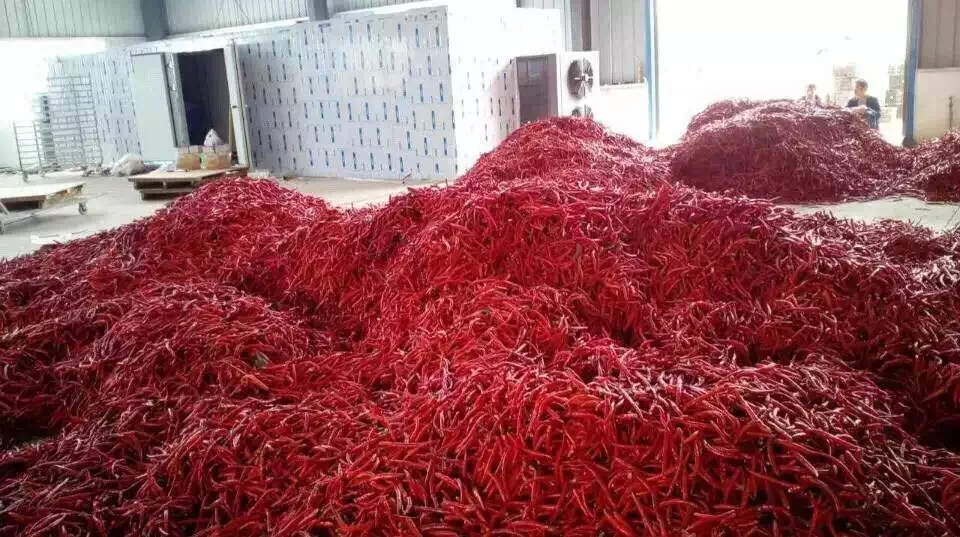 Batch Dryer Type Red Chilli Drying Machine with Factory Price