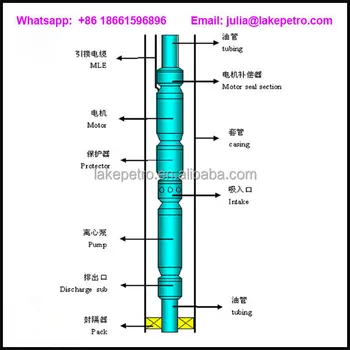 Downhole Electric Submersible Pump Esp System - Buy Downhole Esp ...