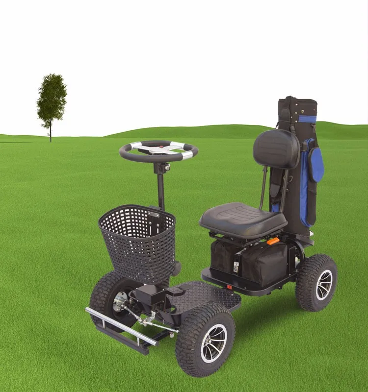 2017 New Design Single Seat Passenger Electric 24v Golf Cart With Ce ...