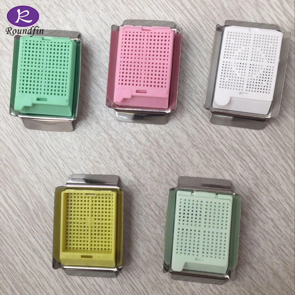 Tissue Embedding Stainless Steel Base Molds Reusable Histology Tissue Mold Buy Tissue