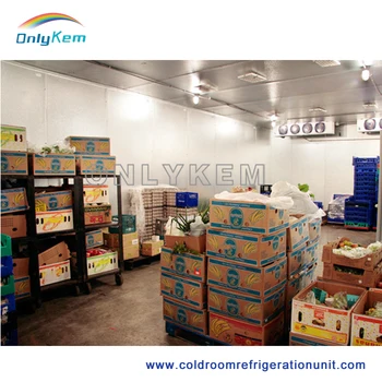 Onion Cold Storage,Lemon Cold Room Price In Supermarket - Buy Lemon ...