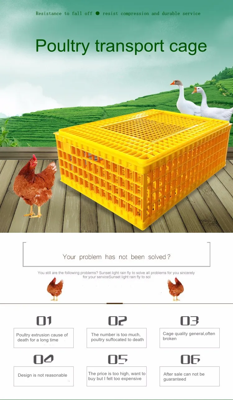 Wholesale Pp Material Poultry Farm Device Plastic Pigeon Cage - Buy ...