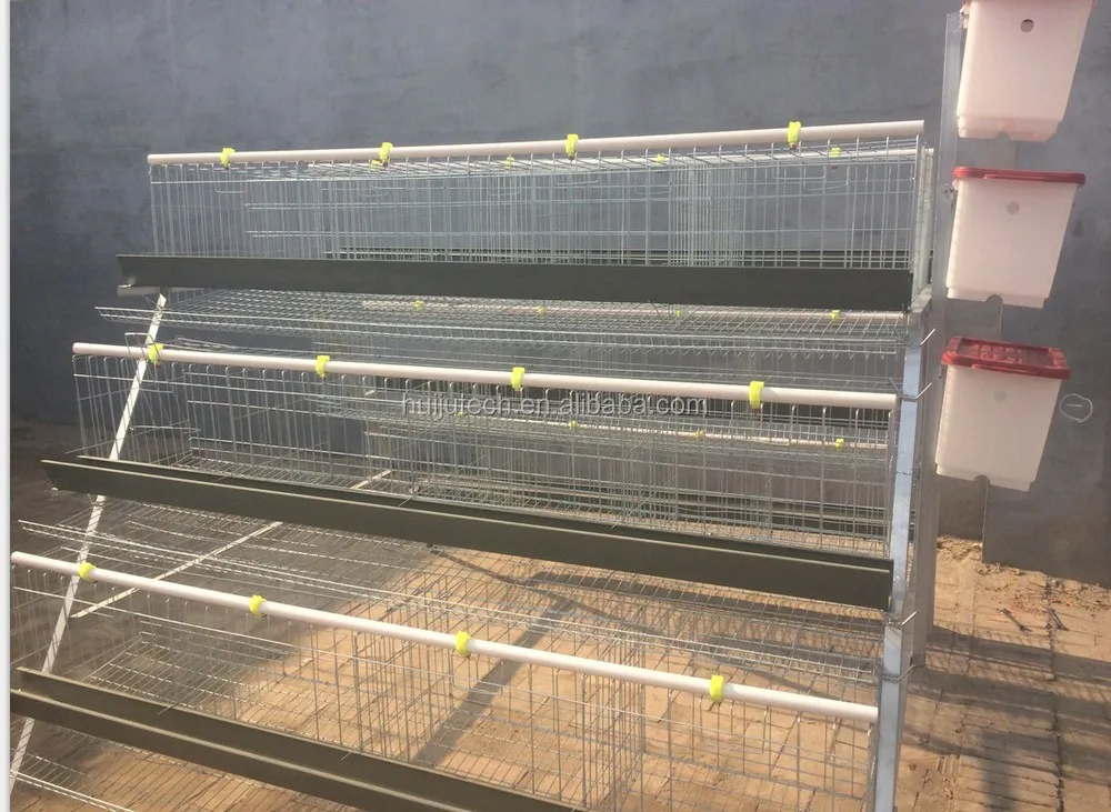 Galvanized Wire Cage Build Chicken Coops 3 Layer Cage Commercial ...