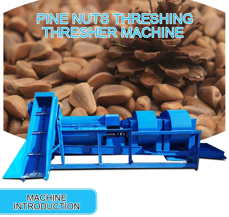 Lebanese Pine Nuts Shelling Machine Acorn Cracker Machine From China ...
