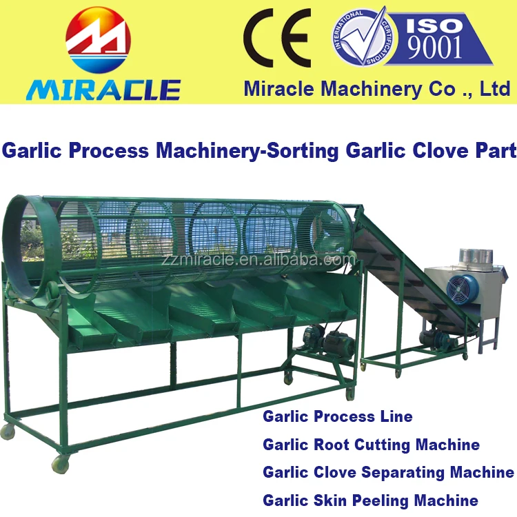 Garlic Clove Sorting Machine,Dry Garlic Clove Size Sorting And Grading Machinery - Buy Garlic ...