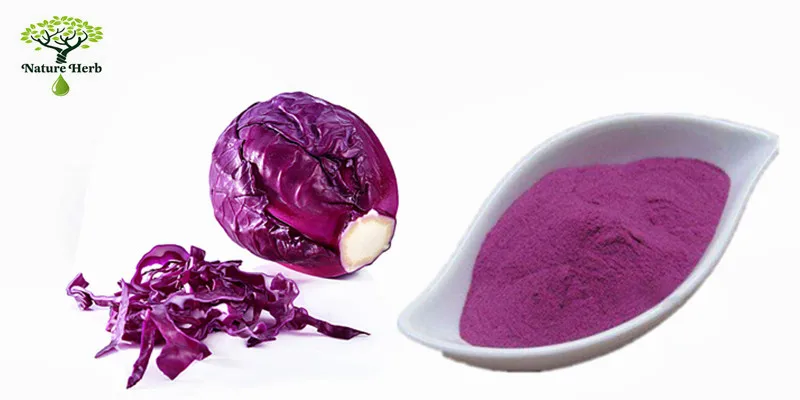 Food Grade Purple Cabbage Freeze-dried Powder/dried Red Cabbage Powder ...