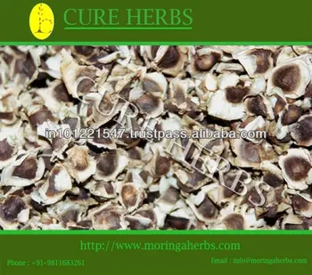 Malunggay Seeds For Exports For China - Buy Malunggay Seeds For Export ...