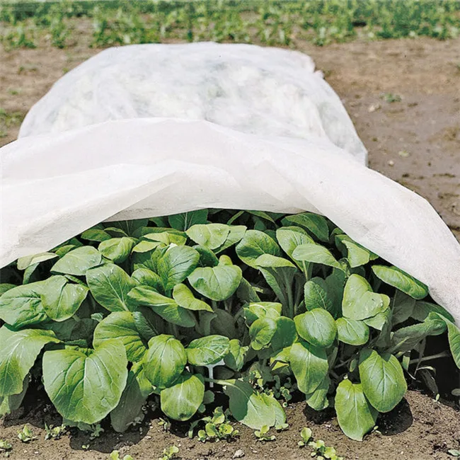 Pp Spunbond Nonwoven Floating Row Cover Microfiber Fabric Virgin ...