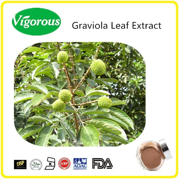Whole Sale Benefits Graviola Soursop Fruit Leaf Extract Powder - Buy ...