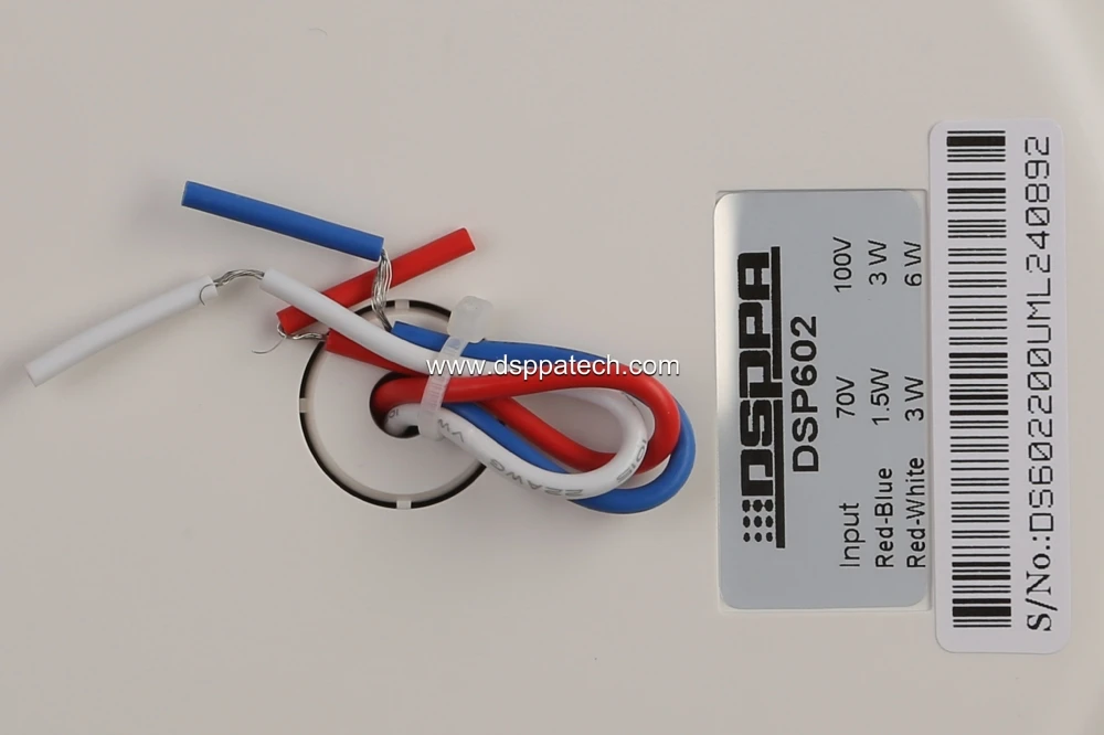 Dsppa Dsp602 6w - 10w Ceiling Speaker With Cover With Fire Dome - Buy ...