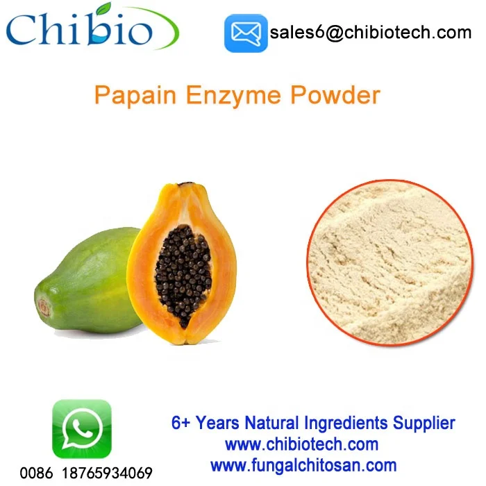 Sourced Papaya Natural Papain Enzyme Powder Exporter - Buy Sourced ...