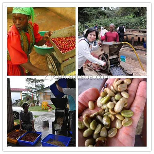 Coffee Husk Removing Machine Fresh Coffee Skin Peeler - Buy Coffee Husk ...