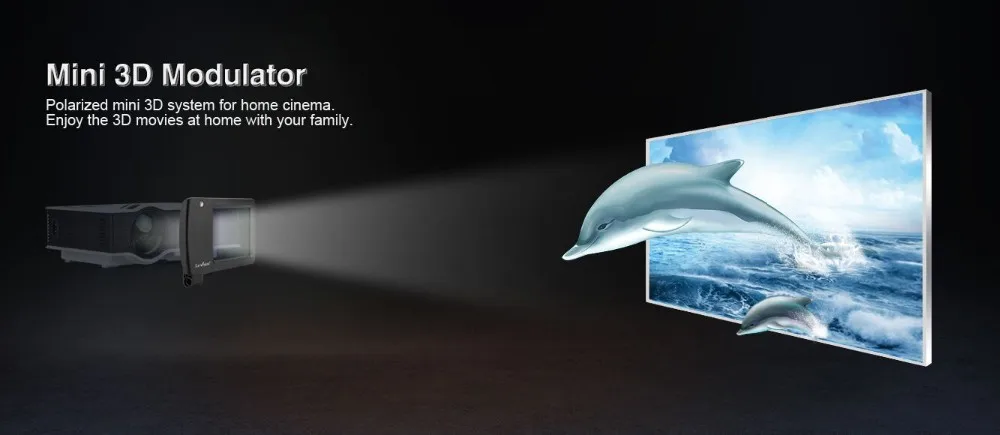 Home Theatre 3d Polarizer 3d Mini Modulator 3d Polarized Imax 3d System ...