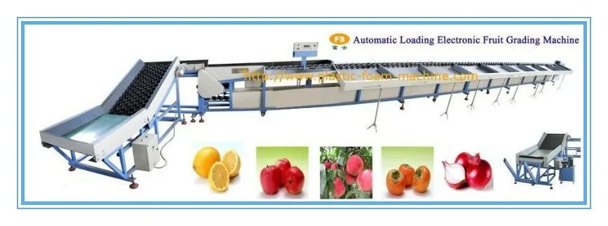 Customize Fruit Vegetable Grader - Precision & Efficiency