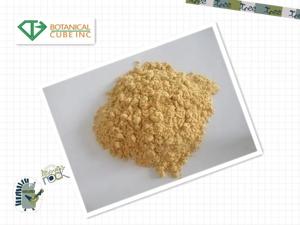 Soybean Peptide Extract Soybean Peptide Protein Powder Soy Isoflavones ...