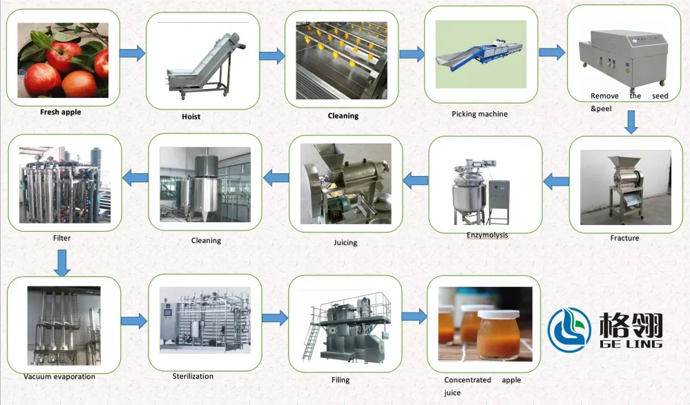 Apple Juice Processing Flow Chart - Efficient Production