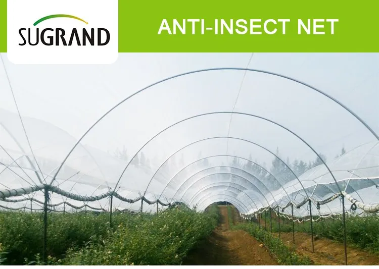 Anti Insect Netting For Farm Use/anti Insect Net For Garden - Buy Anti ...