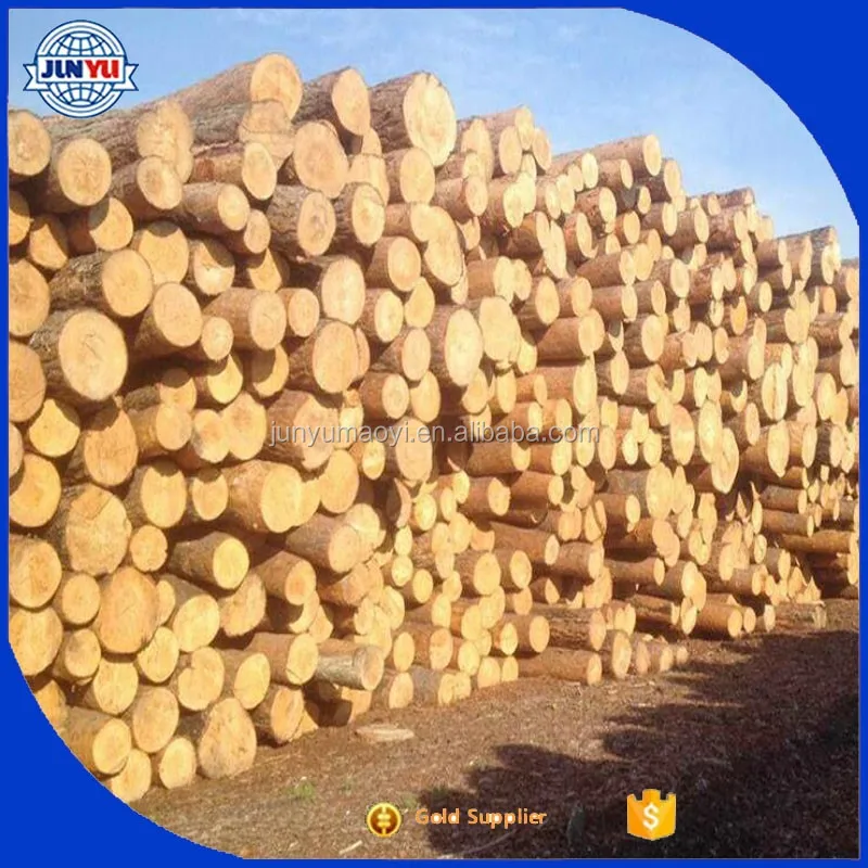 Red Pine Logs 30-60cm & 6 Meter Length Wood Logs - Buy Pine Logs,Pine ...